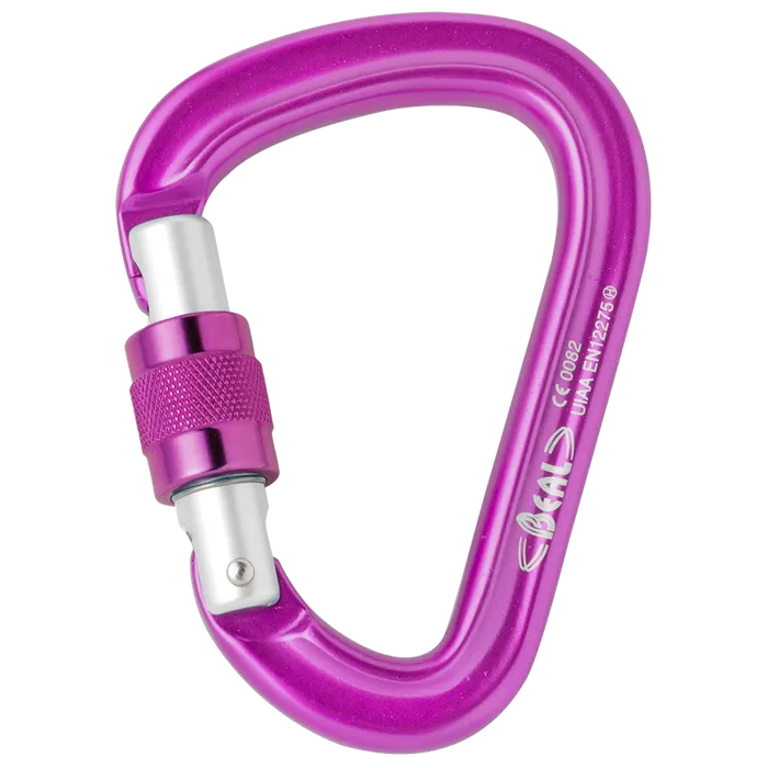 C2 Vertical Safety | Beal Be Safe Screw