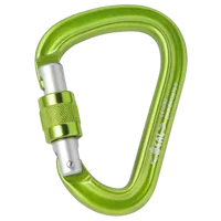 C2 Vertical Safety | Beal Be Safe Screw