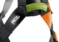 C2 Vertical Safety | Petzl Simba Park Harness